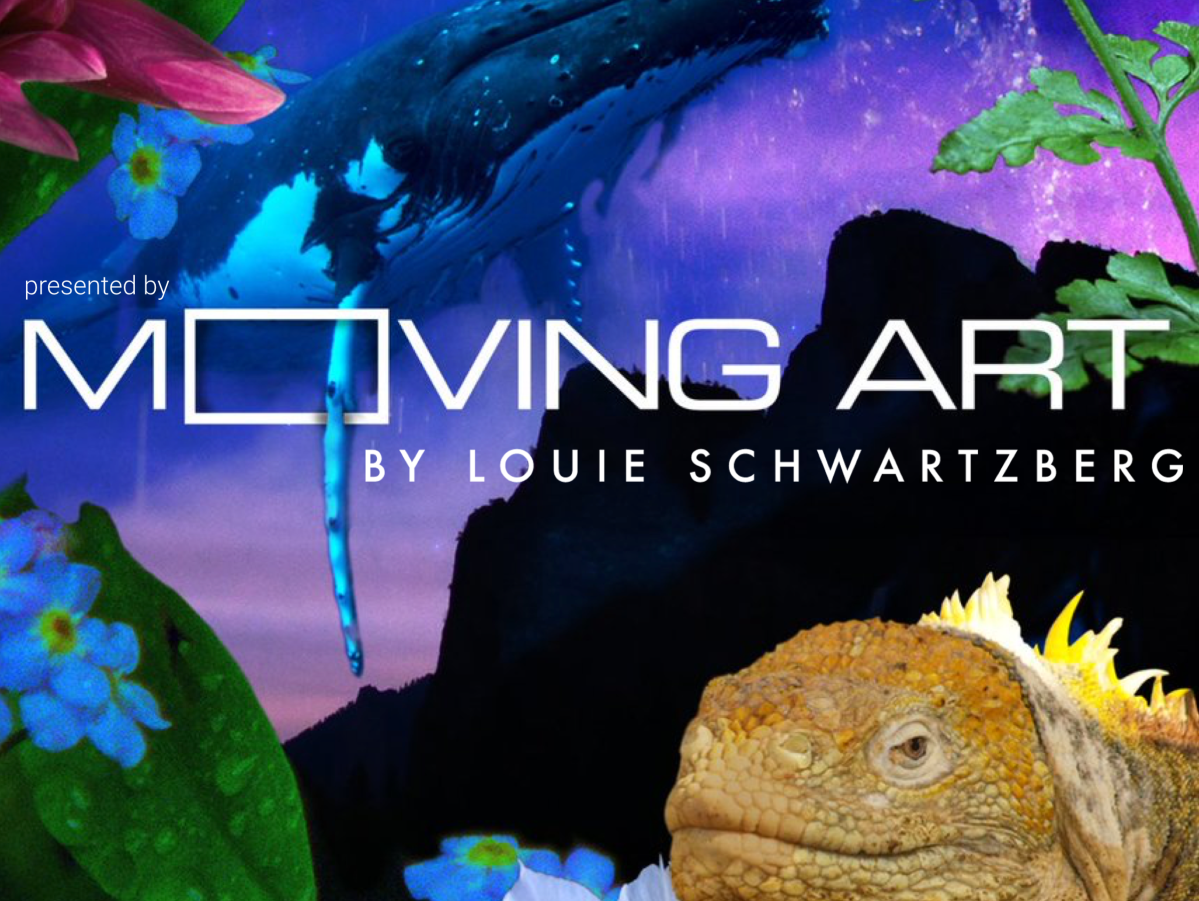 Moving Art: Netflix and Chill for Real | Leg It Leilani